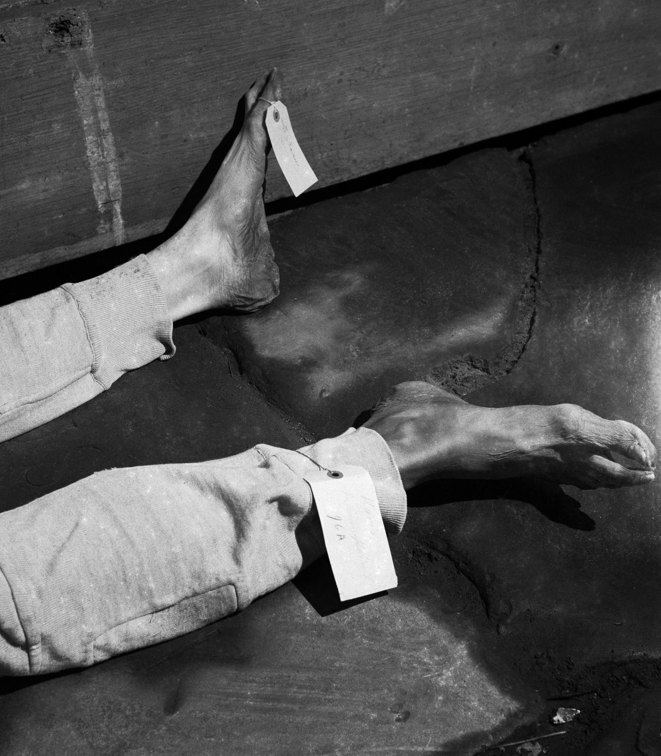 Hunger winter: hunger and cold in the Netherlands | Anne Frank House